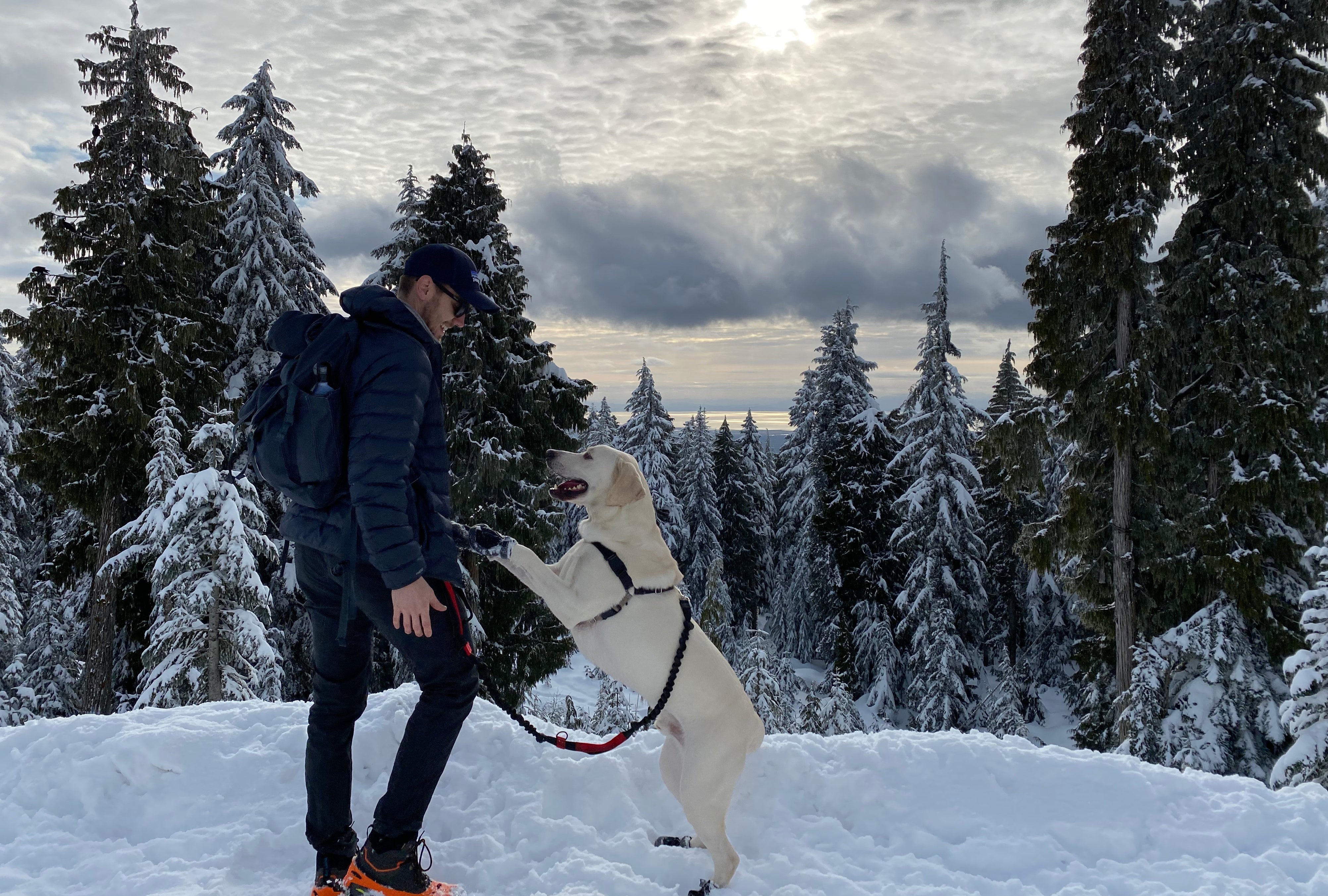 How to Hike with Your Dog - Iron Doggy™