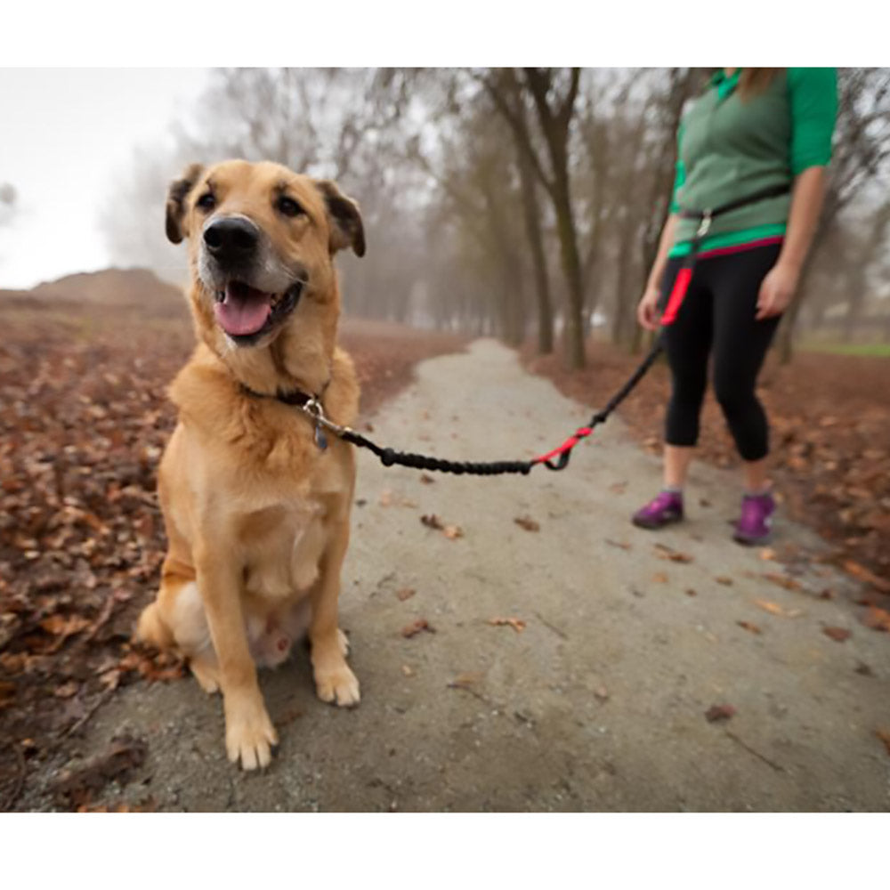 Runner's Choice by Iron Doggy | Best Dog Leash Running - Iron Doggy™