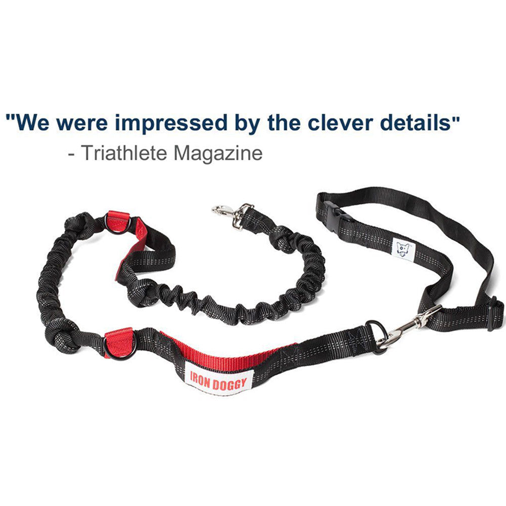 Race Page 🐾 - Iron Doggy™